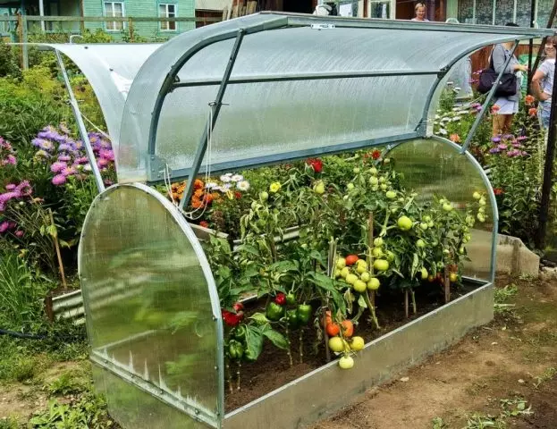 Giunsa pagkolekta ang usa ka butterfly sa greenhouse gikan sa Polycarbonate sa ilang kaugalingon nga mga kamot: Photo, Video