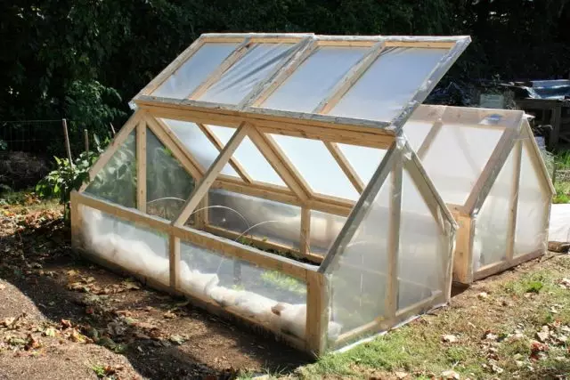 Ako zbierať skleníkový motýľ z polykarbonátu s vlastnými rukami: foto, video