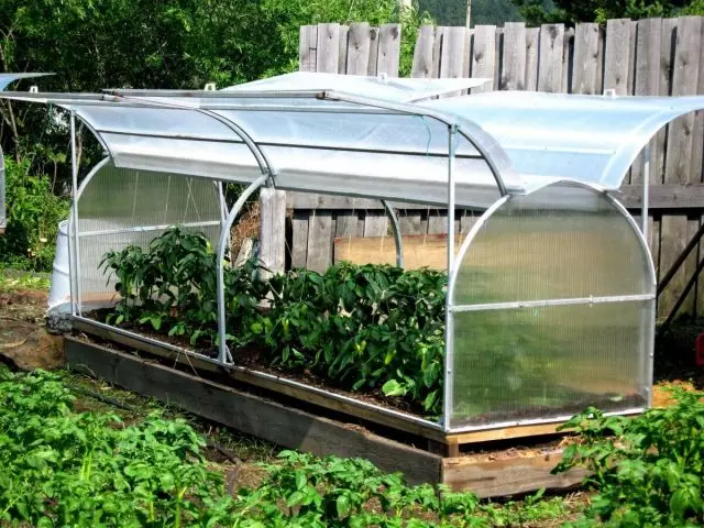 Giunsa pagkolekta ang usa ka butterfly sa greenhouse gikan sa Polycarbonate sa ilang kaugalingon nga mga kamot: Photo, Video