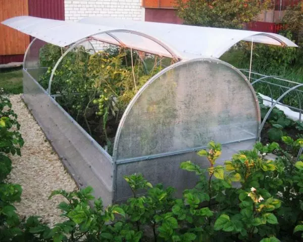 چگونه می توان یک پروانه گلخانه ای را از پلی کربنات با دست خود جمع آوری کرد: عکس، ویدئو