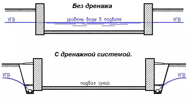 Distrugerea ciupercii în subsol 7003_4