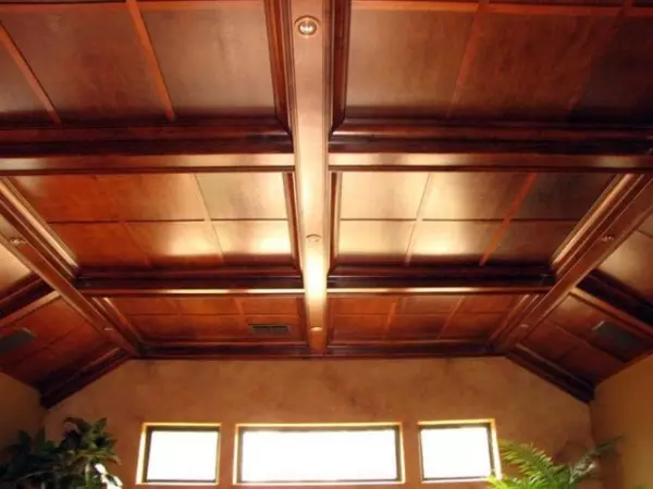 石膏板和木材的單個天花板用自己的手 7360_5