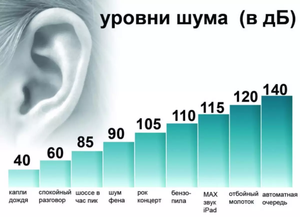 Insulasyona Dîwanê ya Dîwaran 8750_2