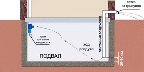 Kako napraviti ventilacijski podrum u garaži vlastitim rukama 8780_2