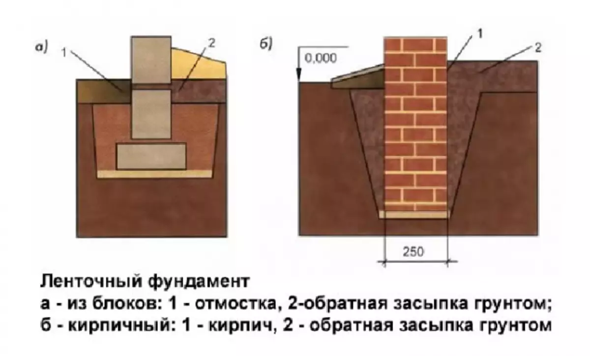 ٻلين جي سينوز جو فيوزن ريورس 878_7