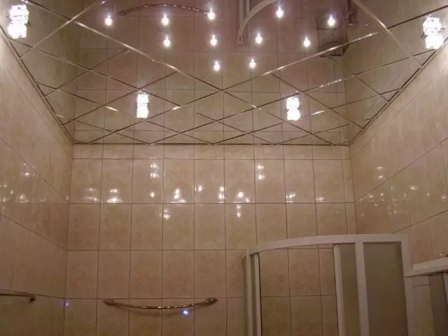 Materijal stropnog materijala za kupatilo